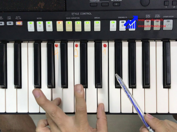 Các hợp âm organ cơ bản và phương pháp tự học hiệu quả nhất