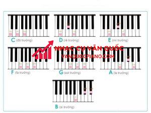 Hướng dẫn cách đọc nốt nhạc piano cực dễ dàng dành cho người mới